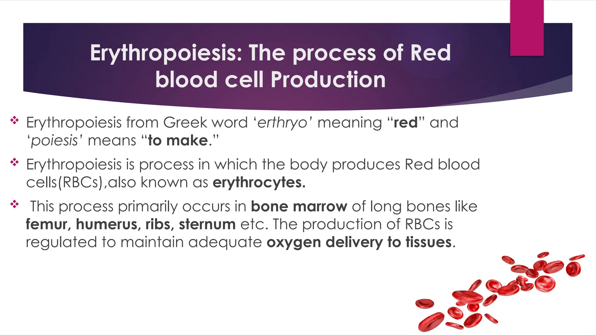 Erythropoiesis.pptx Erythropoiesis slide | PPTX