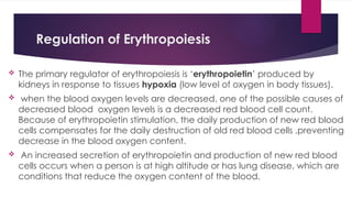 Erythropoiesis.pptx Erythropoiesis slide | PPT