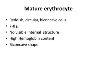 Erythropoiesis | PPTX