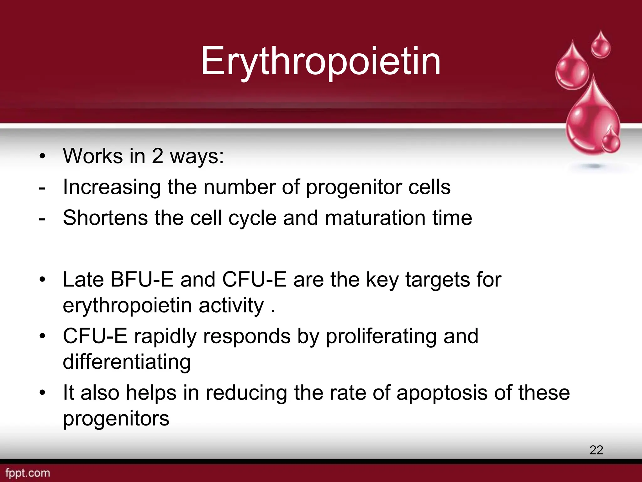 Erythropoiesis: a process of red blood cells formationpresentation.ppt