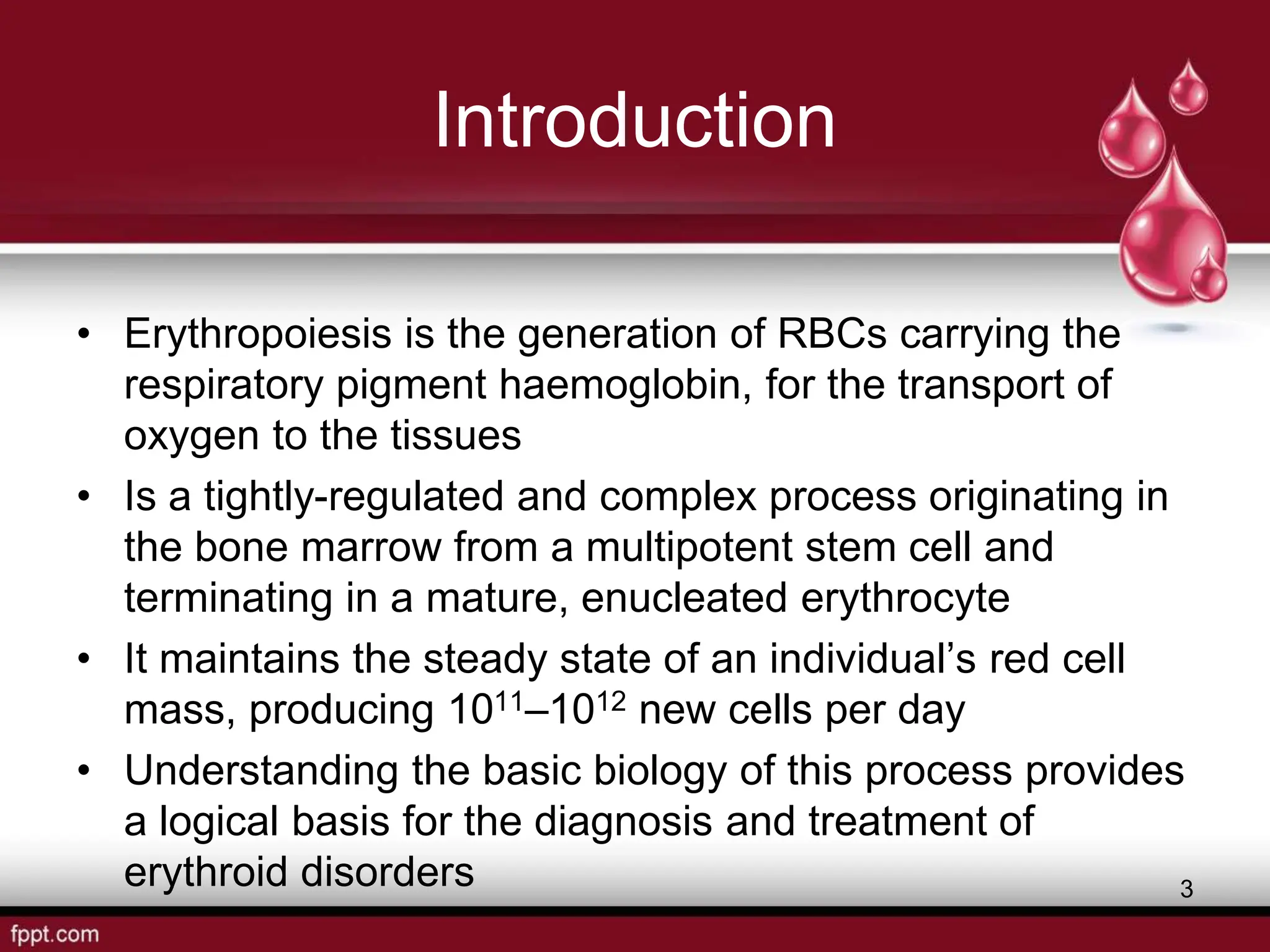 Erythropoiesis: a process of red blood cells formationpresentation.ppt