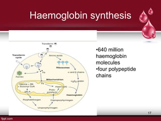 Erythropoiesis: a process of red blood cells formationpresentation.ppt