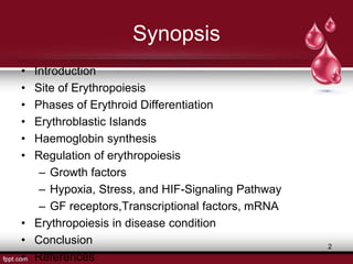 Erythropoiesis: a process of red blood cells formationpresentation.ppt
