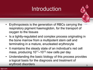 Erythropoiesis: a process of red blood cells formationpresentation.ppt