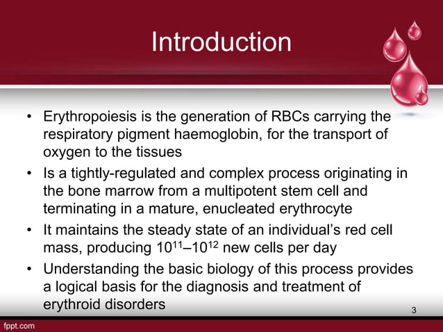 Erythropoiesis: a process of red blood cells formationpresentation.ppt ...