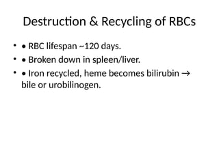 Erythropoiesis, the formation of RBC'sdv | PPTX