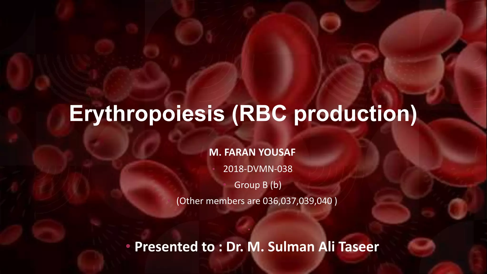 Erythropoiesis (RBC production) | PPT