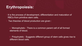 Erythropoiesis (RBC production) | PPTX