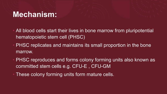 Erythropoiesis (RBC production) | PPTX