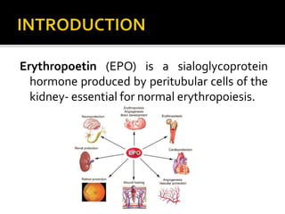 Erythropoietin- Kokate | PPTX