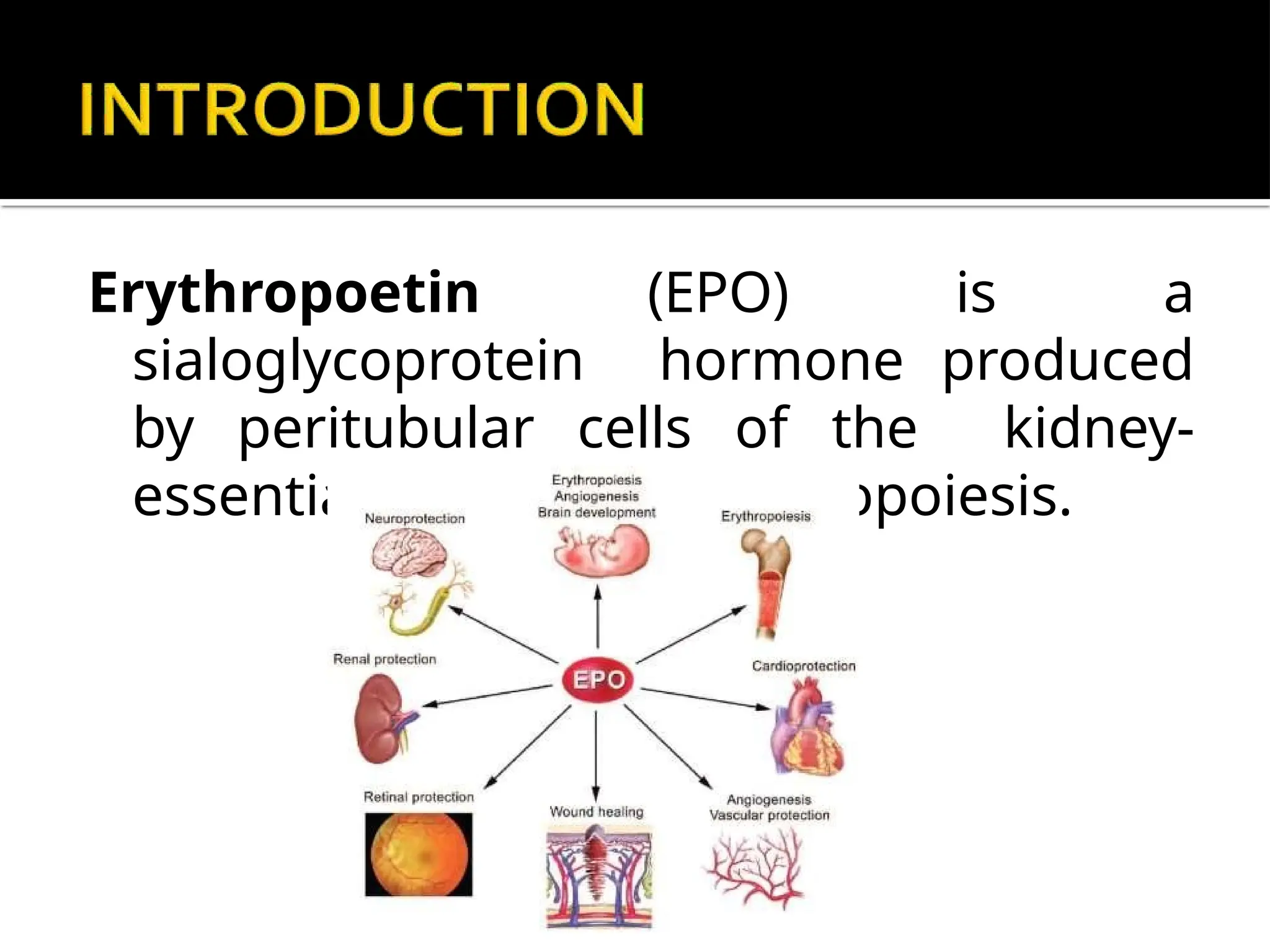 Presenatation Erythropoietin-Dr Sumera.pptx