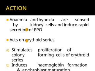 Presenatation Erythropoietin-Dr Sumera.pptx