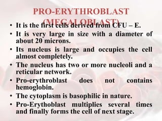 erythropoisis. red blood cells blood and blood products | PPT | Free ...