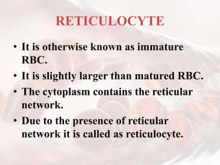 erythropoisis. red blood cells blood and blood products | PPT | Free ...