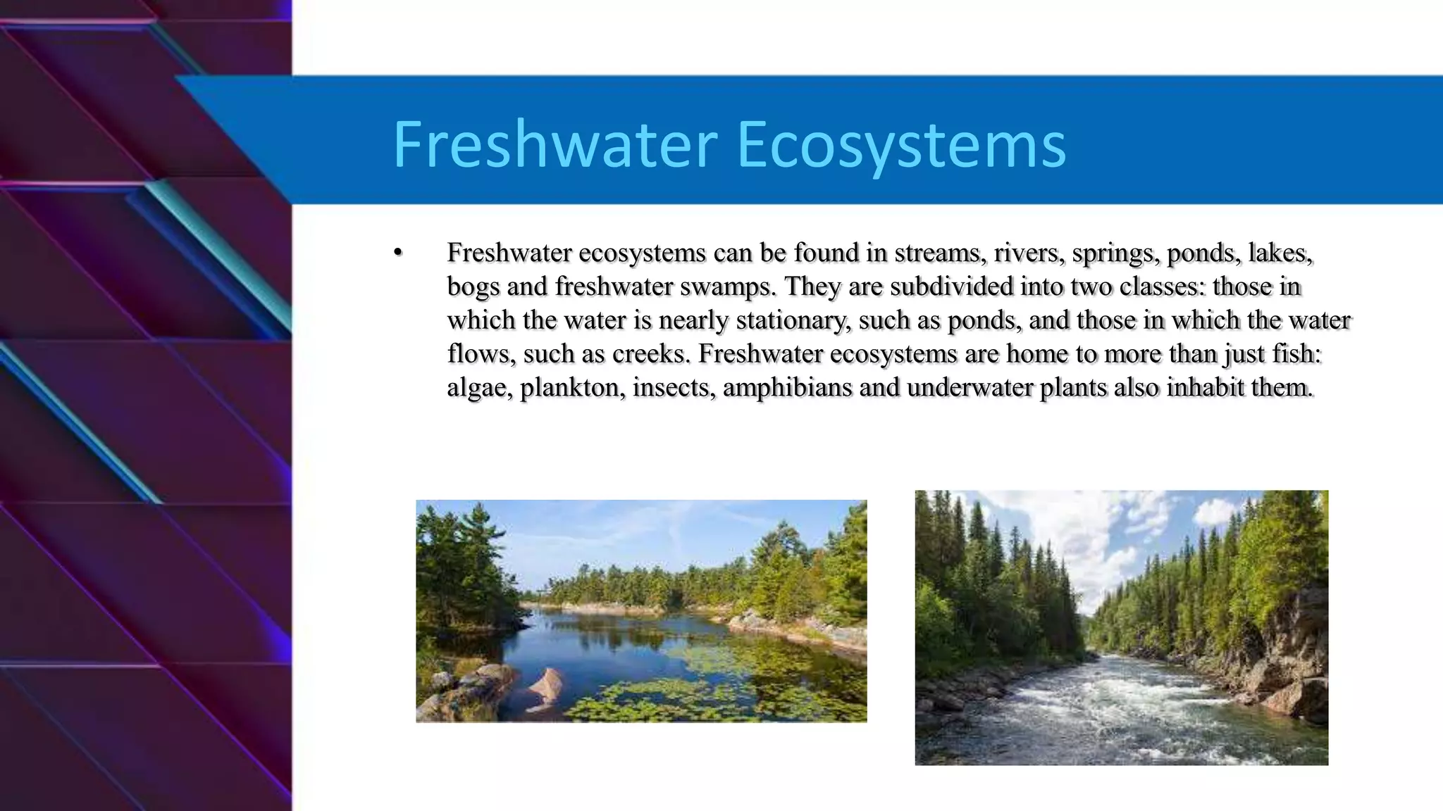 Types of Ecosystem | PPT