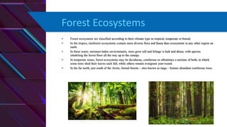 Types of Ecosystem | PPT
