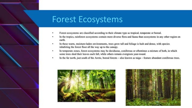 Types of Ecosystem | PPT