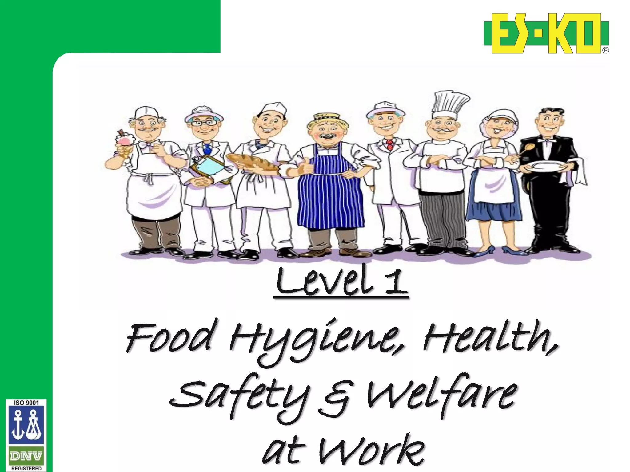 level 1 health, saefty and food hygiene for drivers | PDF