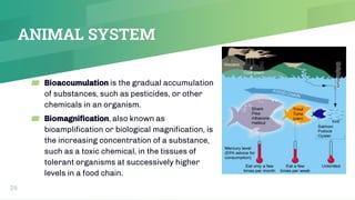 ES-LECTURE-13_Bioindicators-of-Pollution.pdf
