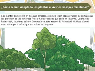 Biomas del mundo, presentación con diapositivas | PPTX