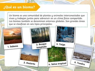 Biomas del mundo, presentación con diapositivas | PPTX
