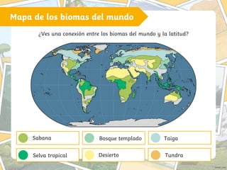 Biomas del mundo, presentación con diapositivas | PPTX