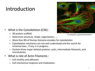 Cell Mechanics | PPTX