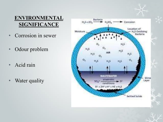 Parameters of waste water analysis | PPTX | Chemistry | Science
