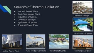 Thermal pollution | PDF