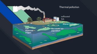 Thermal pollution | PDF