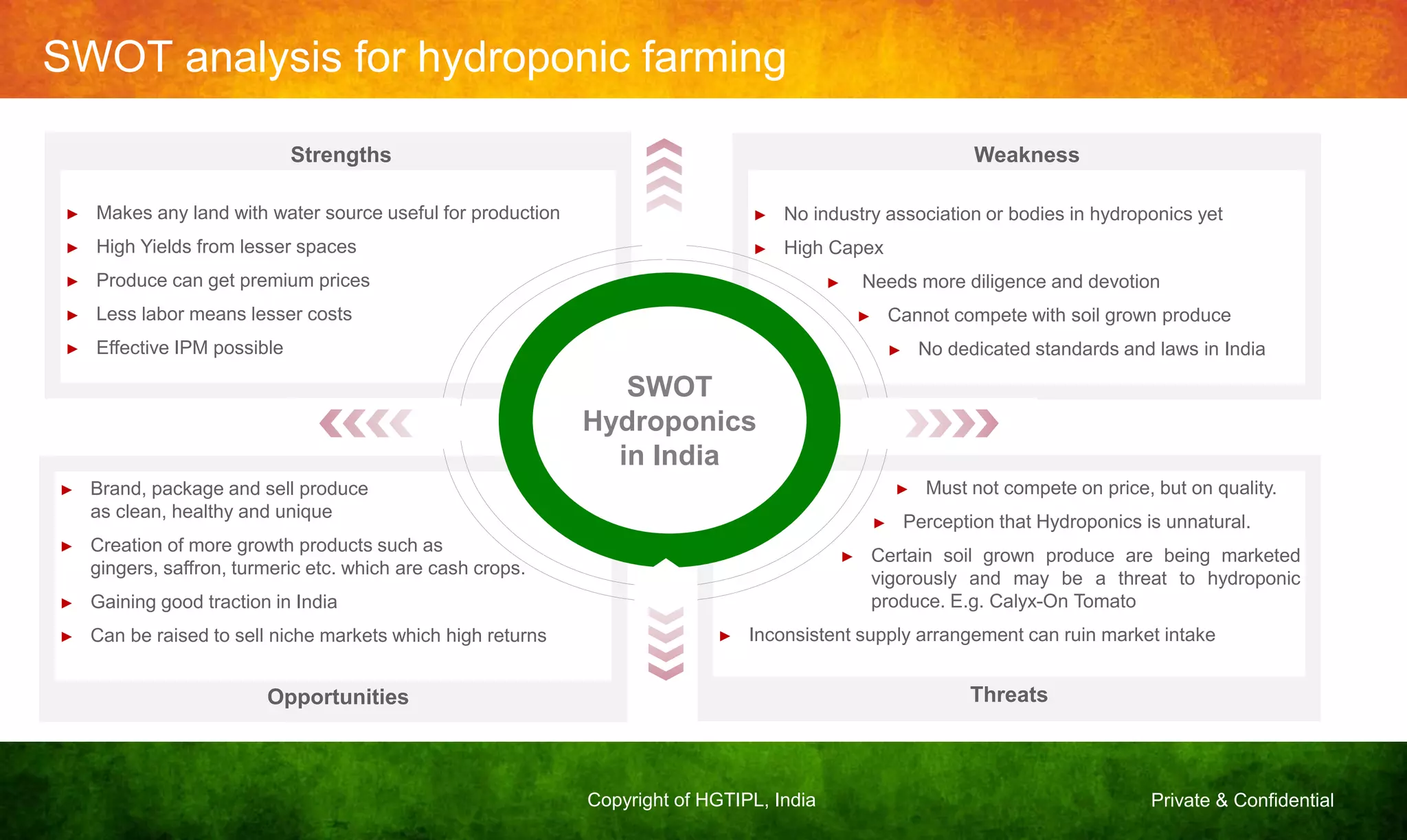 Hydroponics | PPTX