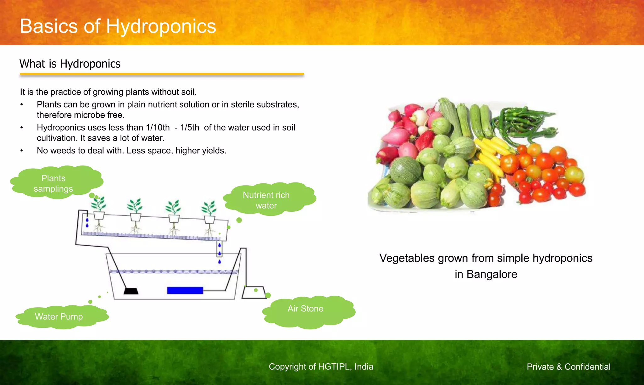 Hydroponics | PPTX