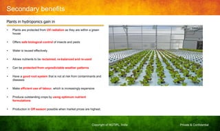 Hydroponics | PPTX