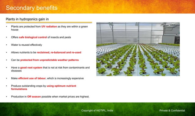 Hydroponics Pptx Agriculture Industries