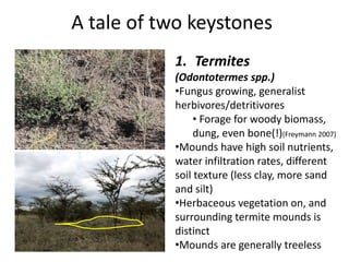 ESA 2014 A massive and a tiny herbivore species drive patterns of plant ...