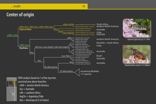 TDikow Apioceridae + Mydidae morphological phylogeny ESA 2012 | PPT