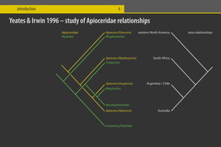 TDikow Apioceridae + Mydidae morphological phylogeny ESA 2012 | PPT