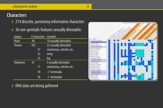 TDikow Apioceridae + Mydidae morphological phylogeny ESA 2012 | PPT