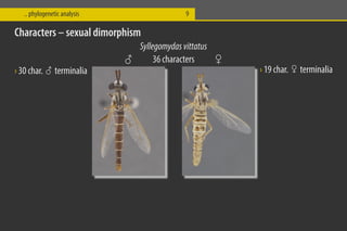 TDikow Apioceridae + Mydidae morphological phylogeny ESA 2012 | PPT