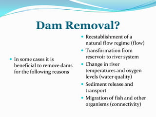 ESA 324 - Dams Project | PPTX