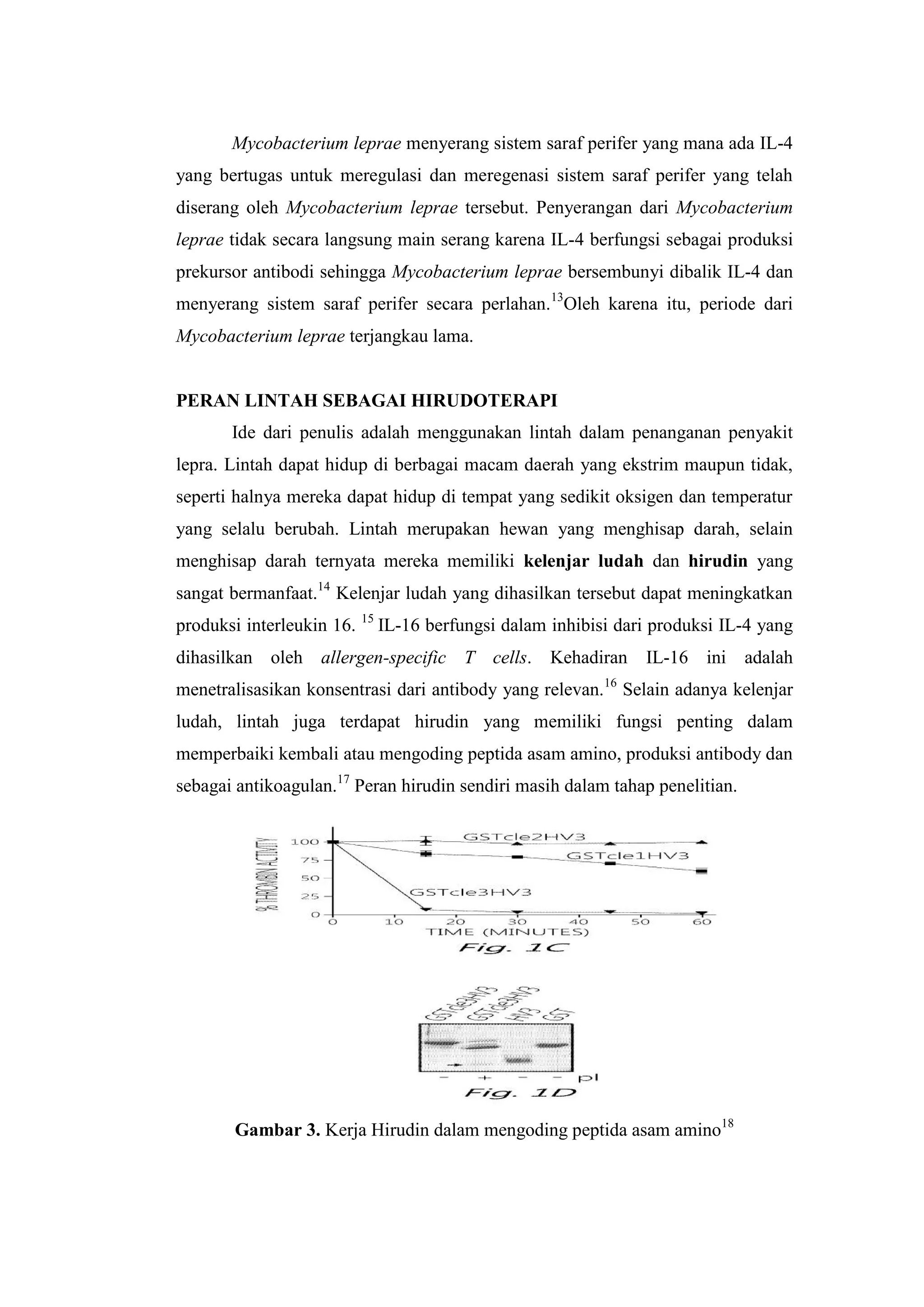 Esai ilmiah muhammad sobri maulana-ui | PDF