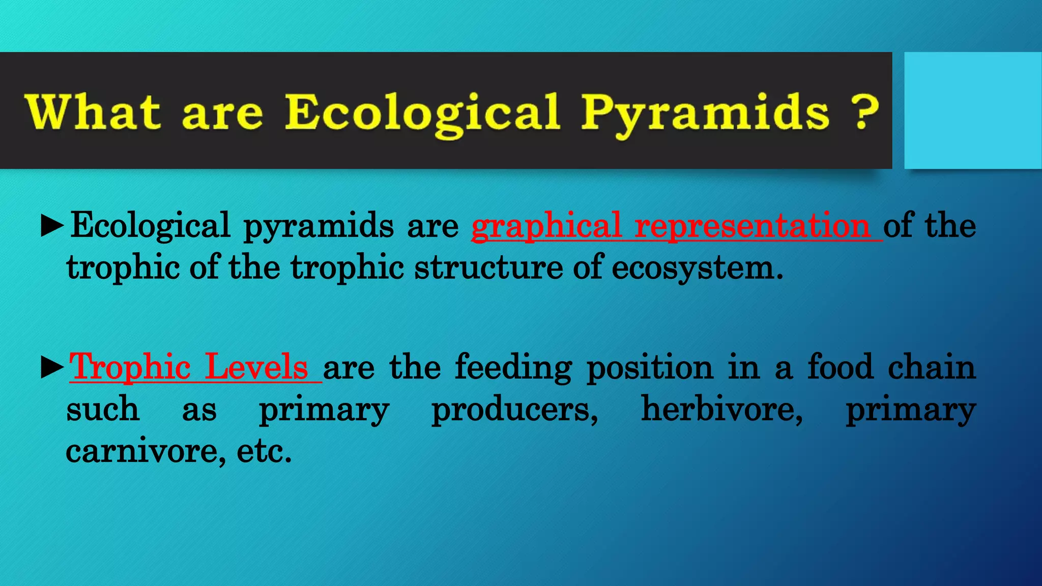 Ecological Pyramid | PPTX