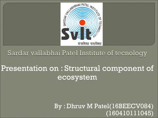 structural component of ecosystem | PPT
