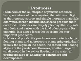 structural component of ecosystem | PPT