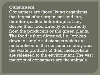 structural component of ecosystem | PPT