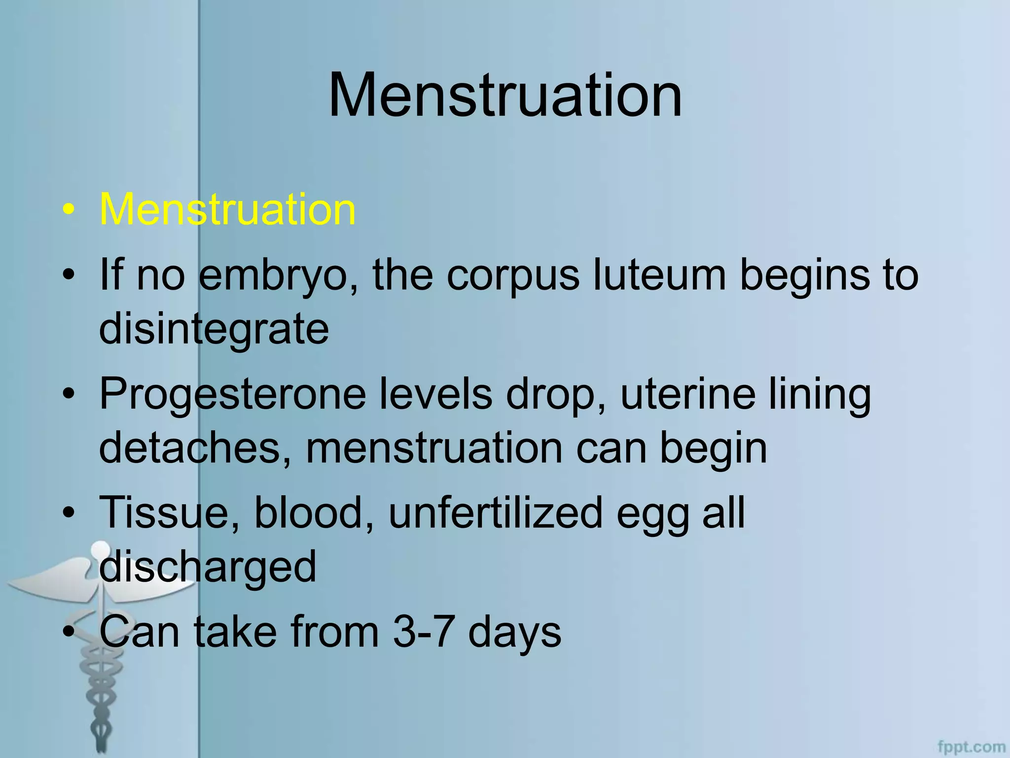 menstrual cycle | PPTX