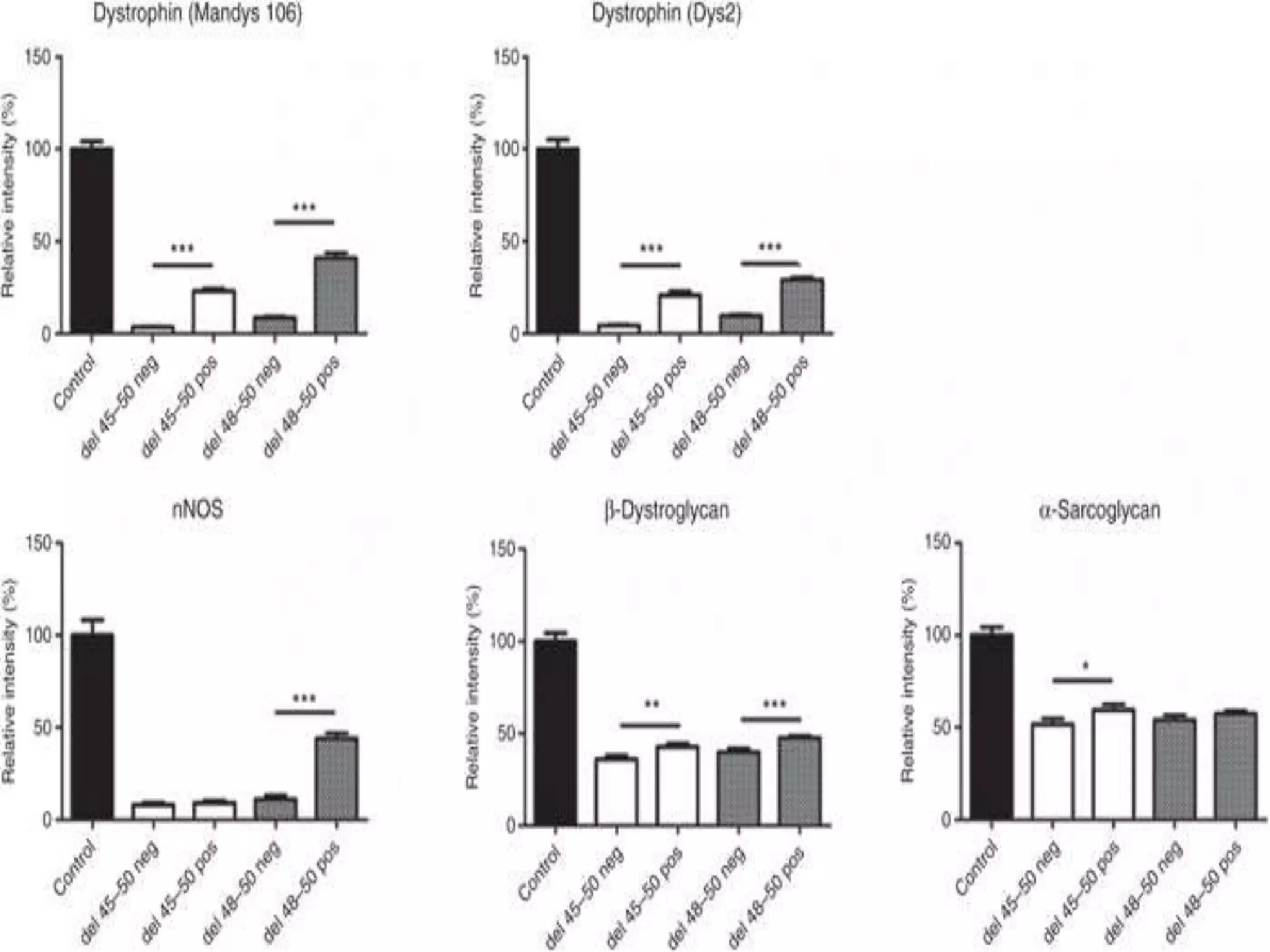 La Distrofia Muscolare di Duchenne | PPTX