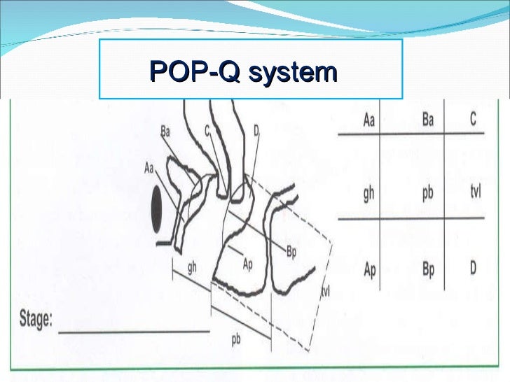 Esame obiettivo del pavimento pelvico baccichet