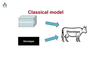 The science of genomics and livestock genetic improvement | PDF