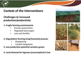 Intensification of maize-legume based systems in the semi-arid areas of ...